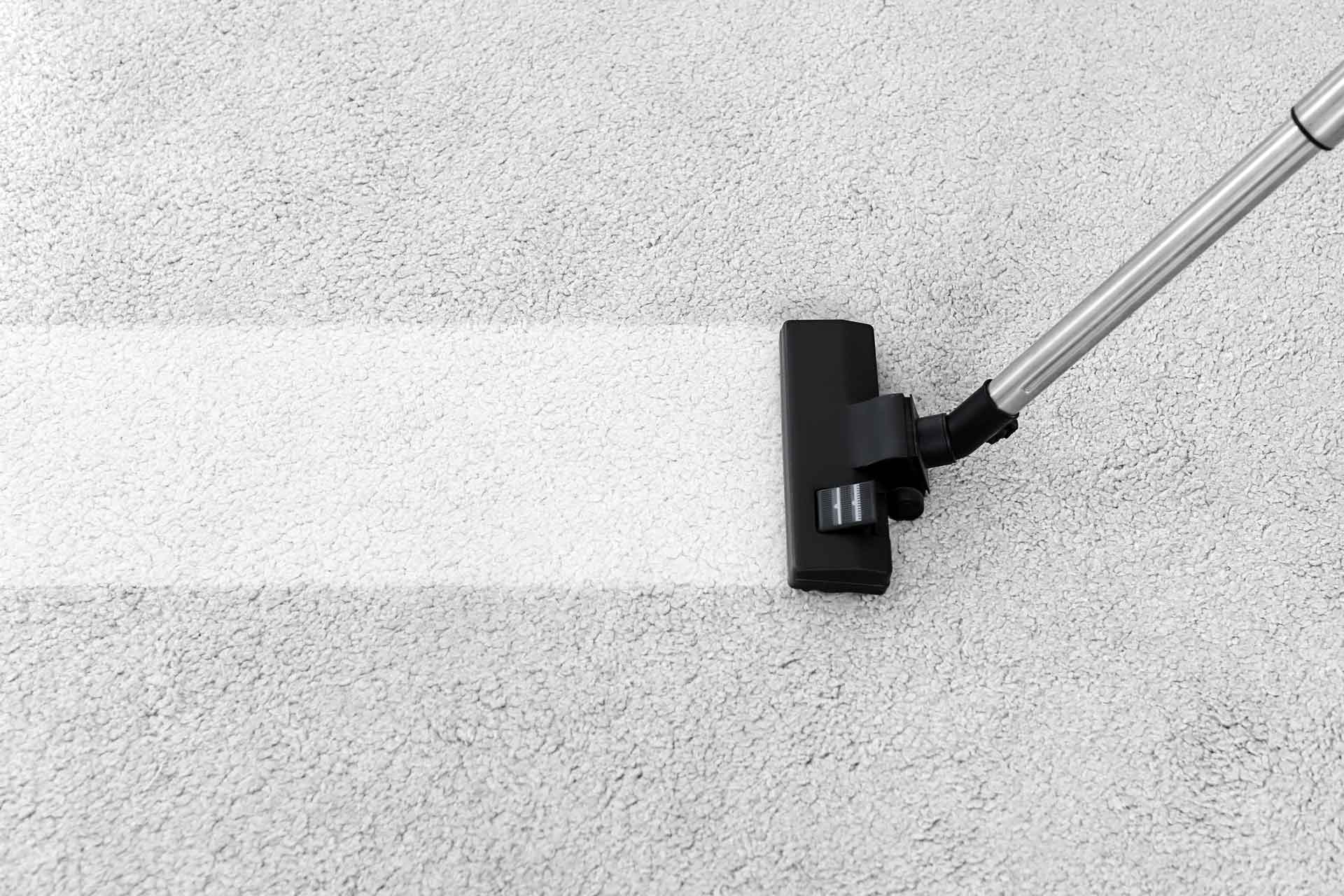 DIY VS Professional Carpet Cleaning CleanCo WA